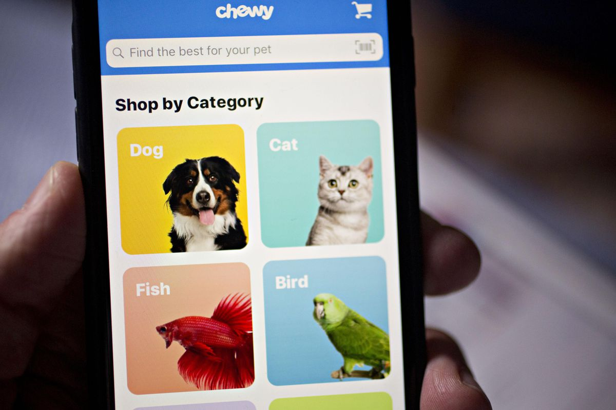 Chewy Review March 2026 - Shop Dog Food
