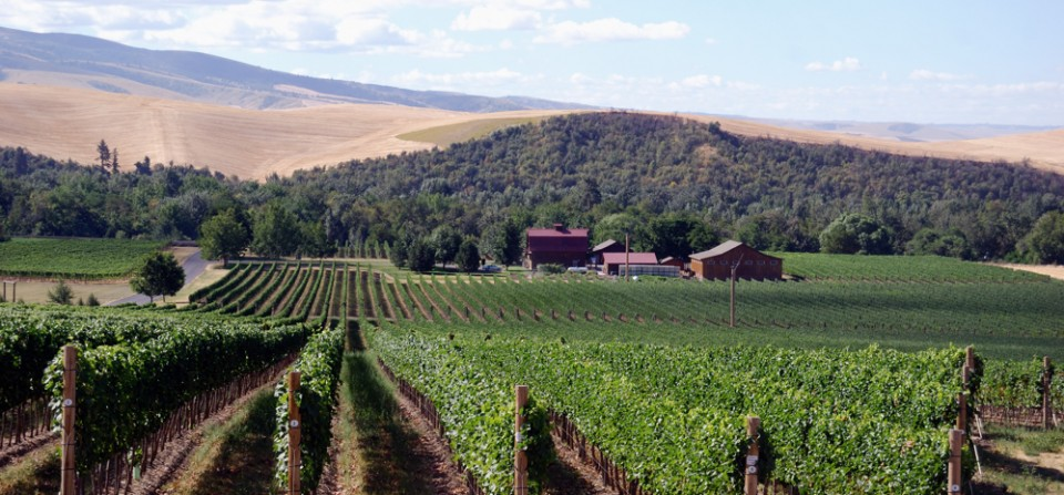 Nocking Point Review August 2024 - Shop Wine Clubs