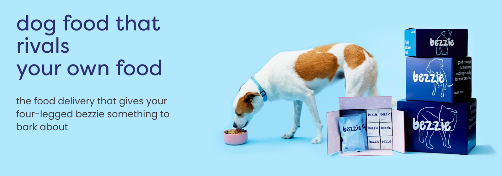 Bezzie Review November 2025 - Shop Dog Food