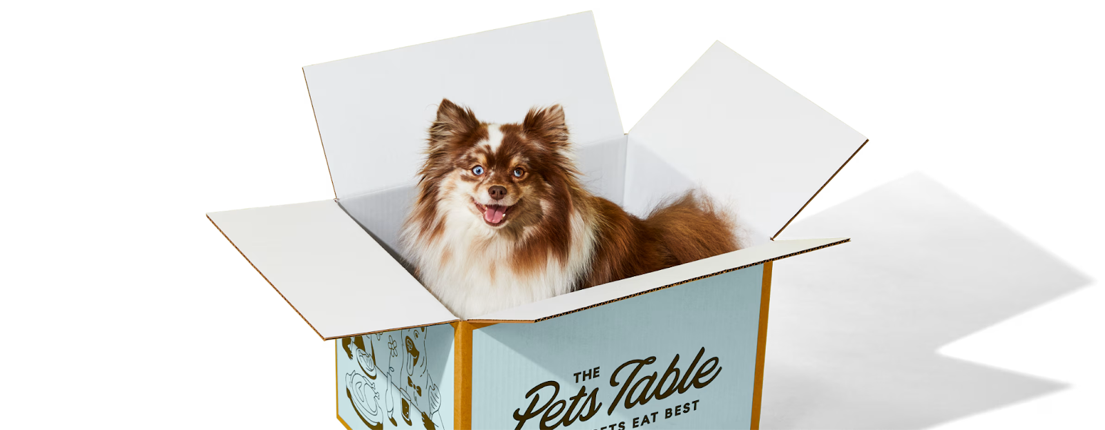 The Pets Table Review December 2025 - Shop Dog Food